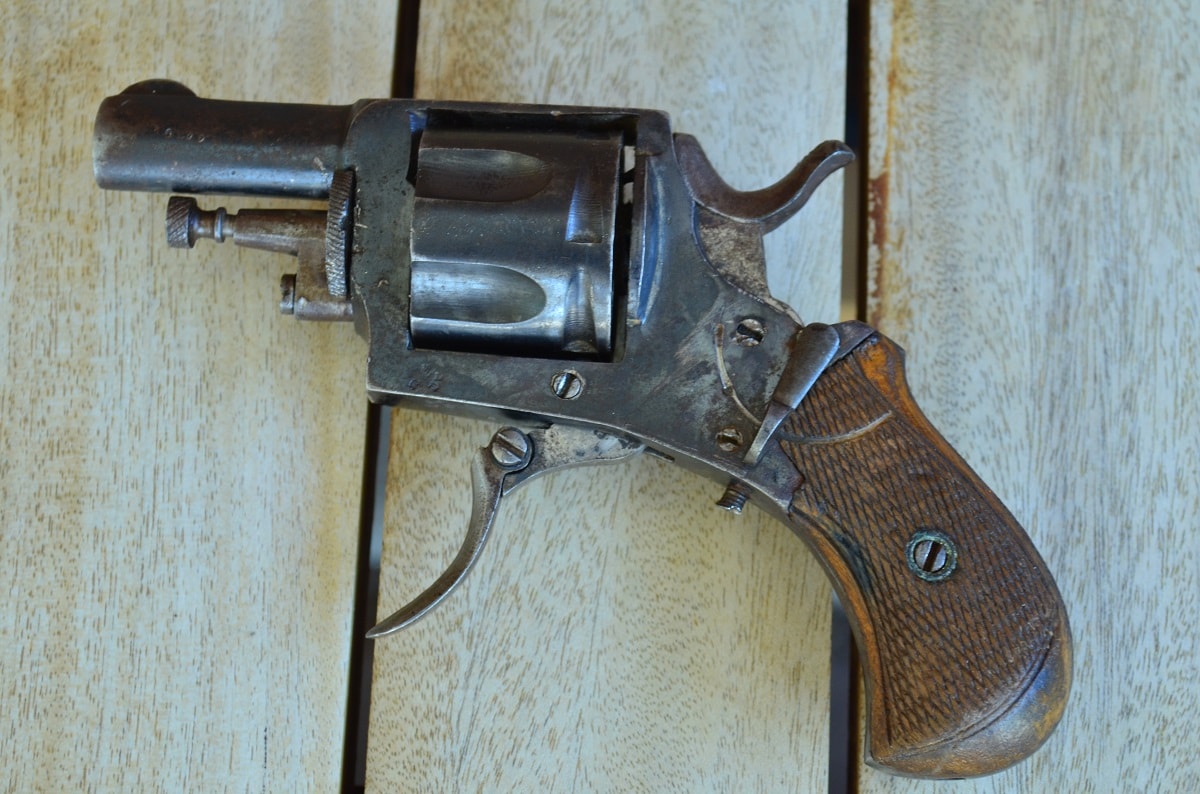 WTW: How Velo Dogs Let Loose on The Dogs of War