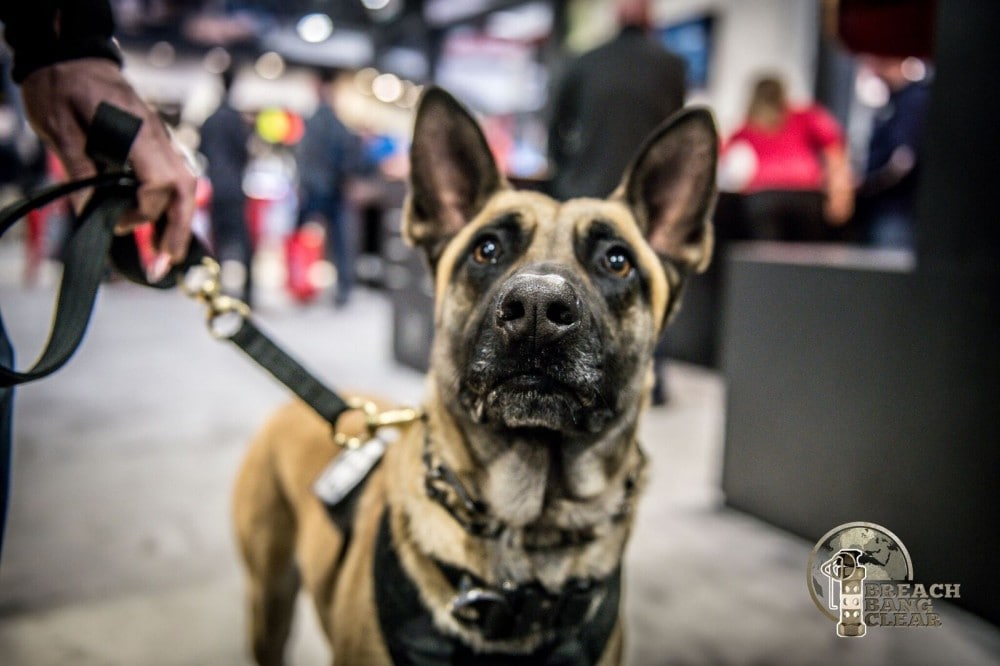 Meet the Dogs of SHOT Show 2019 | Breach Bang Clear
