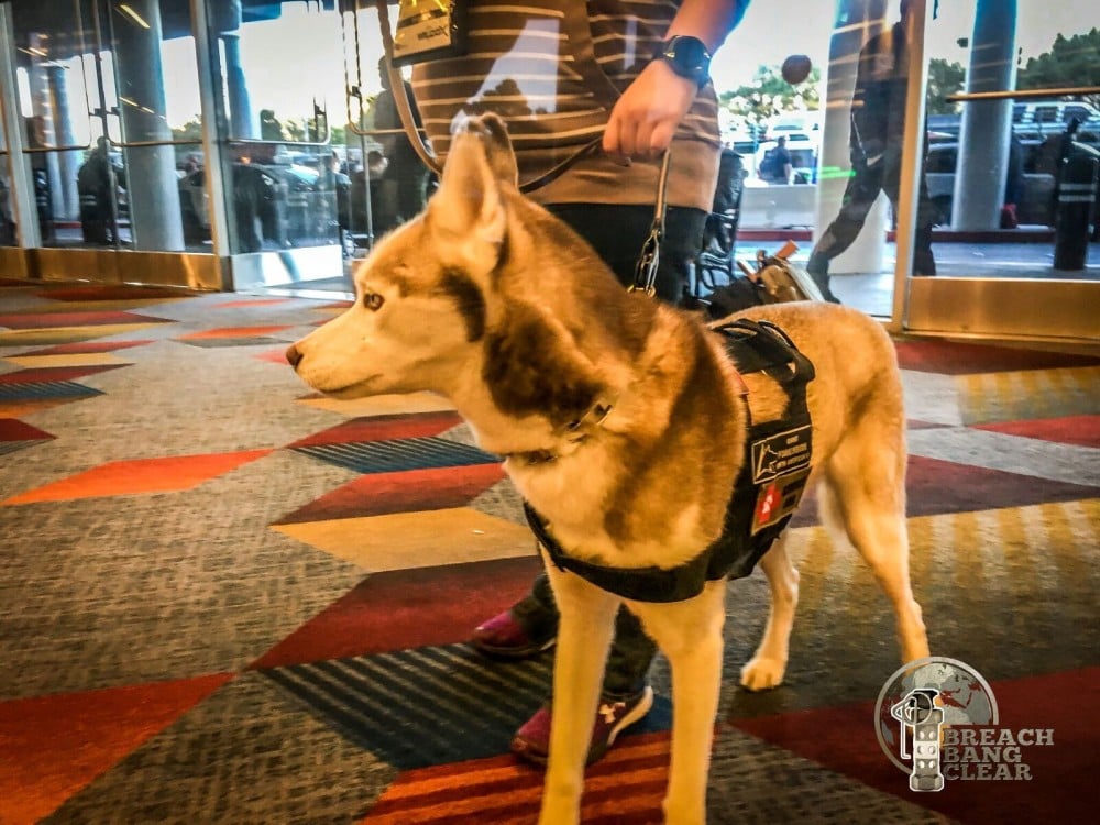 Meet the Dogs of SHOT Show 2019 | Breach Bang Clear