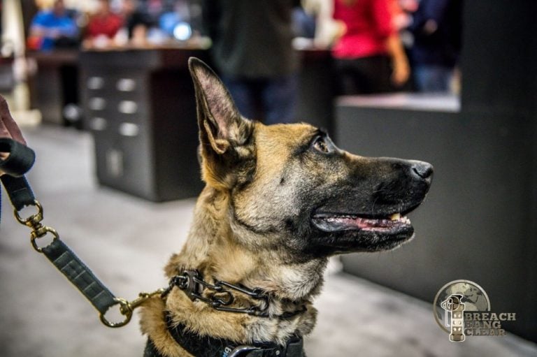 Meet the Dogs of SHOT Show 2019 | Breach Bang Clear