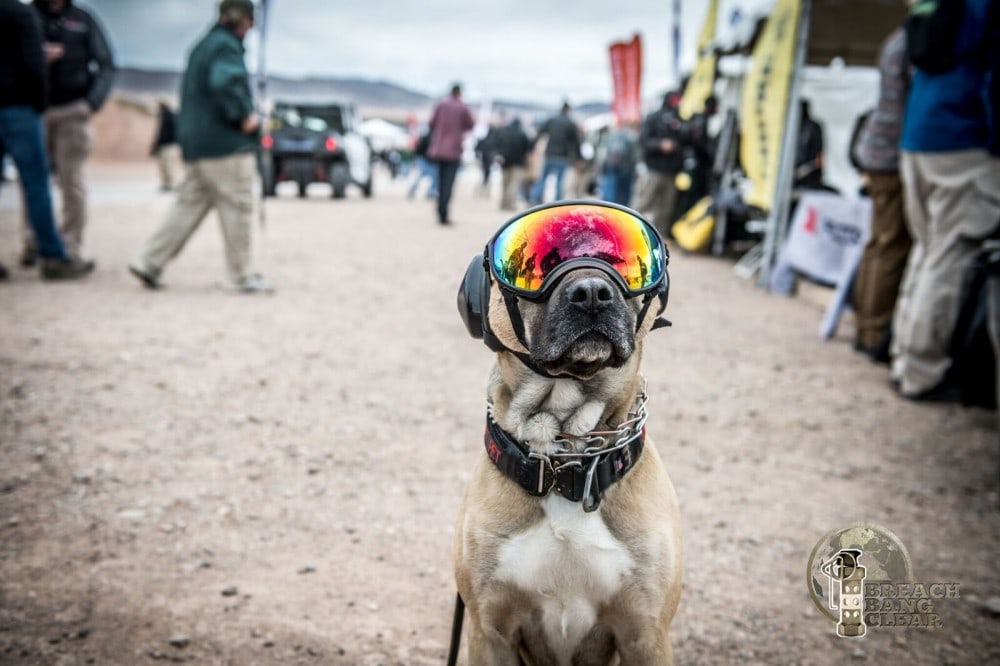 Meet the Dogs of SHOT Show 2019 | Breach Bang Clear