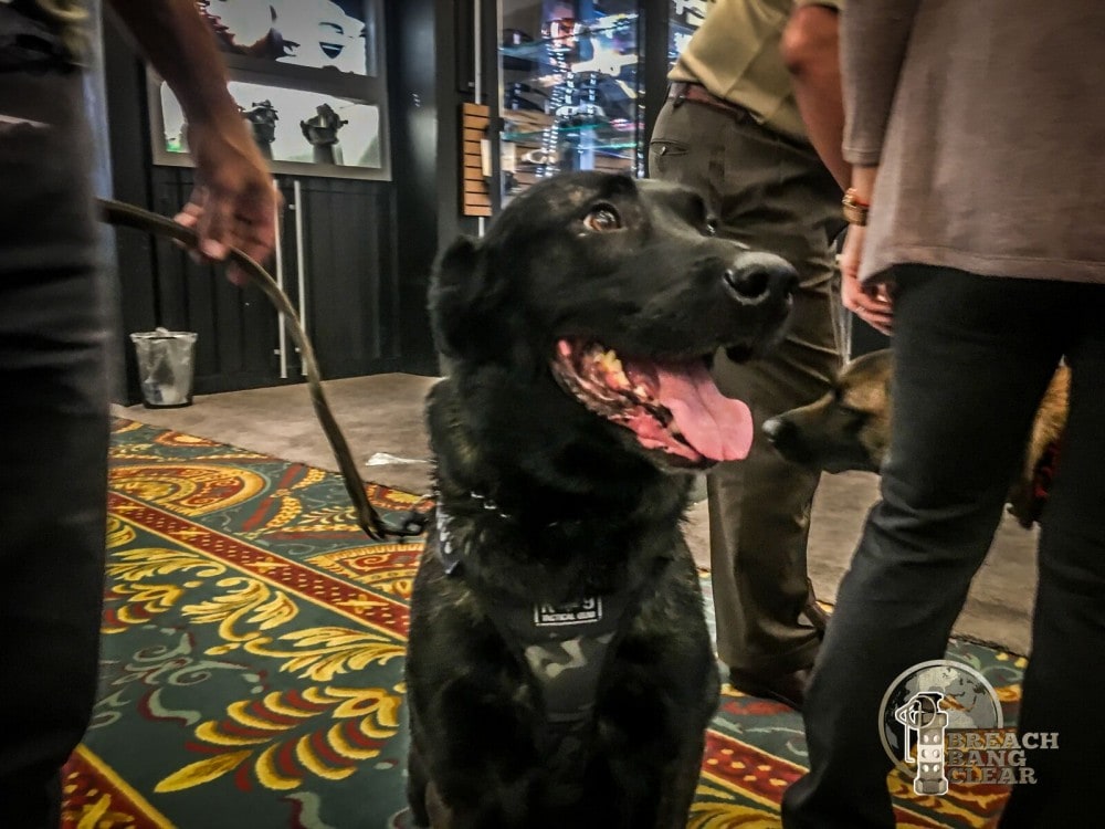 Meet the Dogs of SHOT Show 2019 | Breach Bang Clear