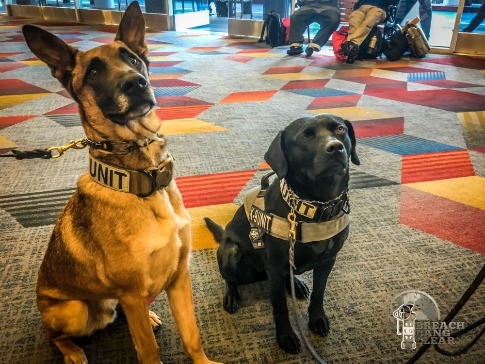 Meet the Dogs of SHOT Show 2019 | Breach Bang Clear