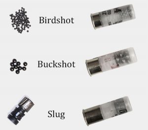 Parts of a Bullet: Understanding Ammunition