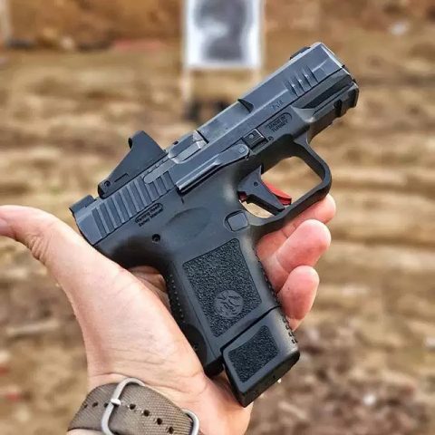 RMSw: Little Waterproof Optic (plus Shield RMS vs RMSC)