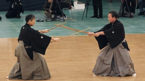 Dual Wielding: Duel Wield Swords, Duel Wield Guns