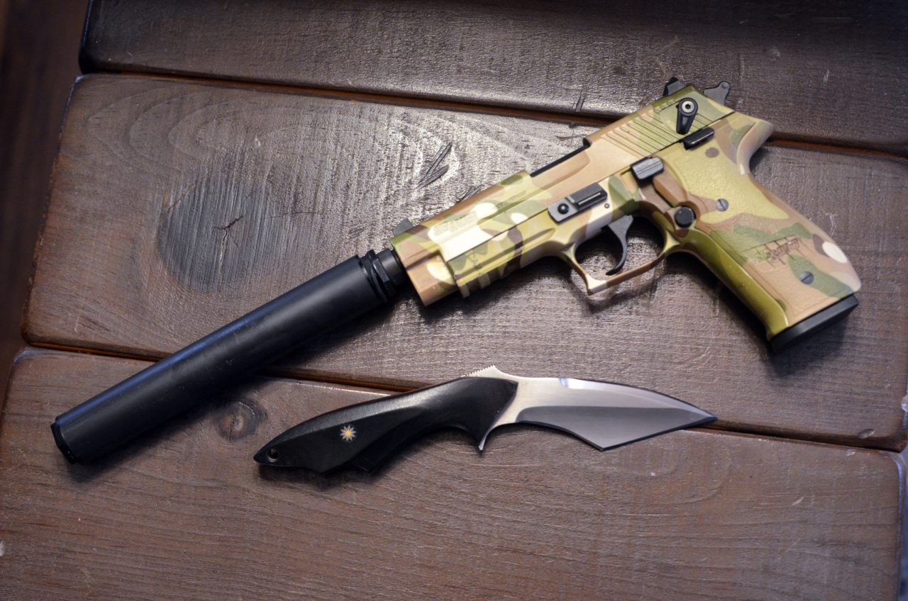 SIG Sauer Mosquito: a SIG Mosquito Review