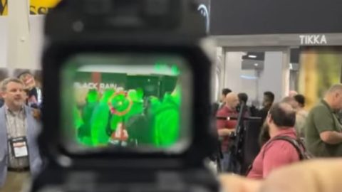 Holosun Thermal Sight: The Future of Optics?