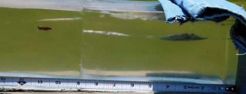 5.7x28 Commercial Ammunition Comparison | Breach Bang Clear