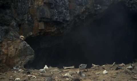 The Rabbit of Caerbannog | Breach Bang Clear