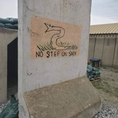 No Step on Snek [Don't Tread on Me]